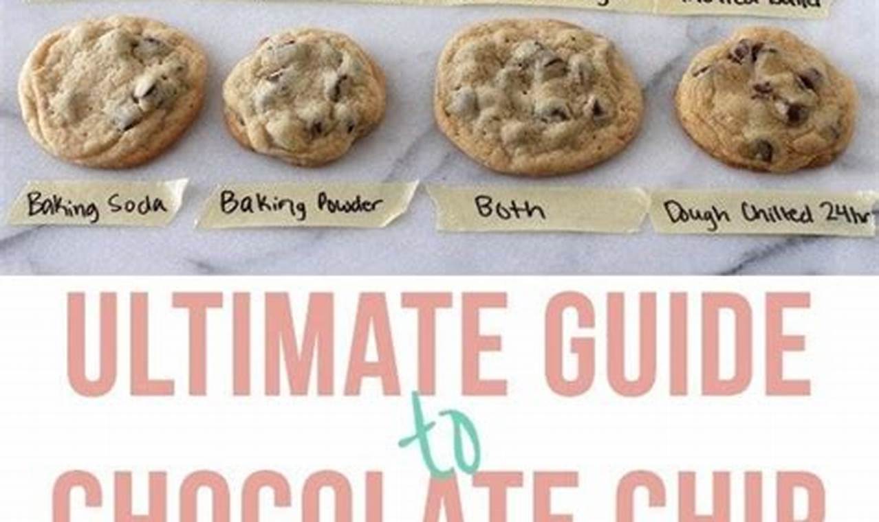 Ultimate Chocolate Chip Cookie Guide: Types & Tips