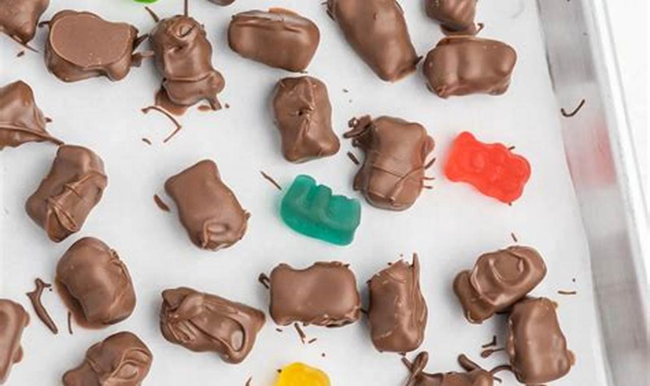 Easy Chocolate Covered Gummy Bears Recipe