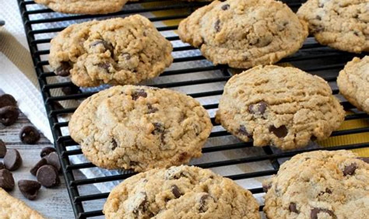 Best Chewy Chocolate Chip Graham Cookies Ever