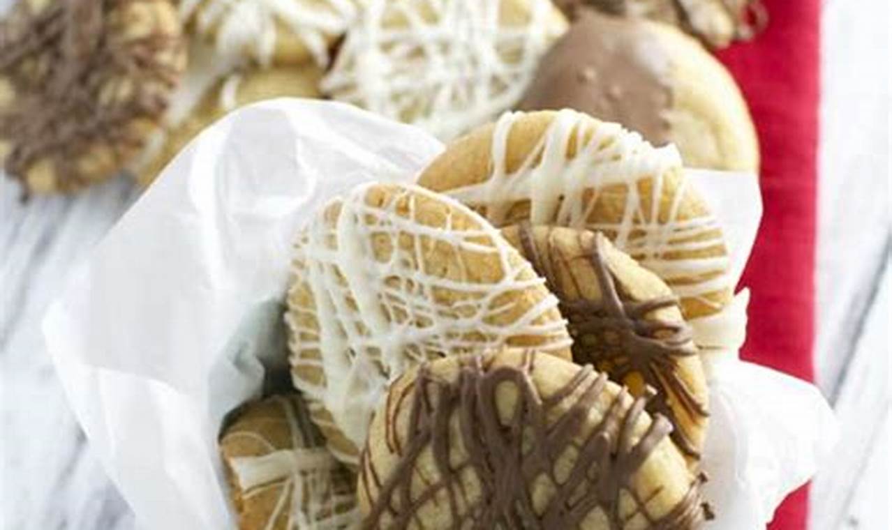 Easy Chocolate Drizzle Cookies Recipe