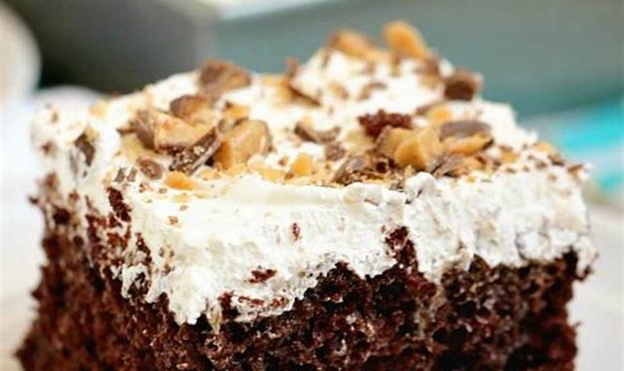 Chocolate Poke Cake With Sweetened Condensed Milk