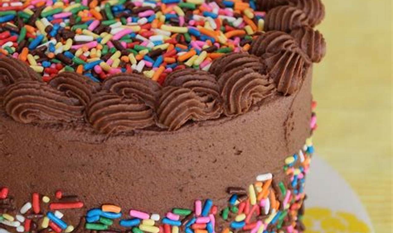 Chocolate Sprinkle Cake