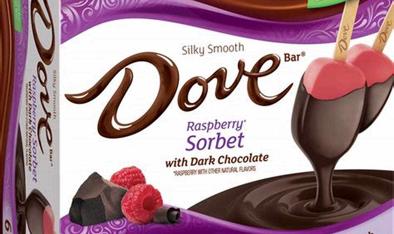 Rich Dove Raspberry Sorbet with Dark Chocolate Drizzle