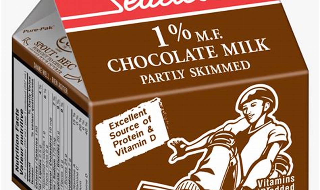 Best Small Chocolate Milk Cartons for Kids & Adults