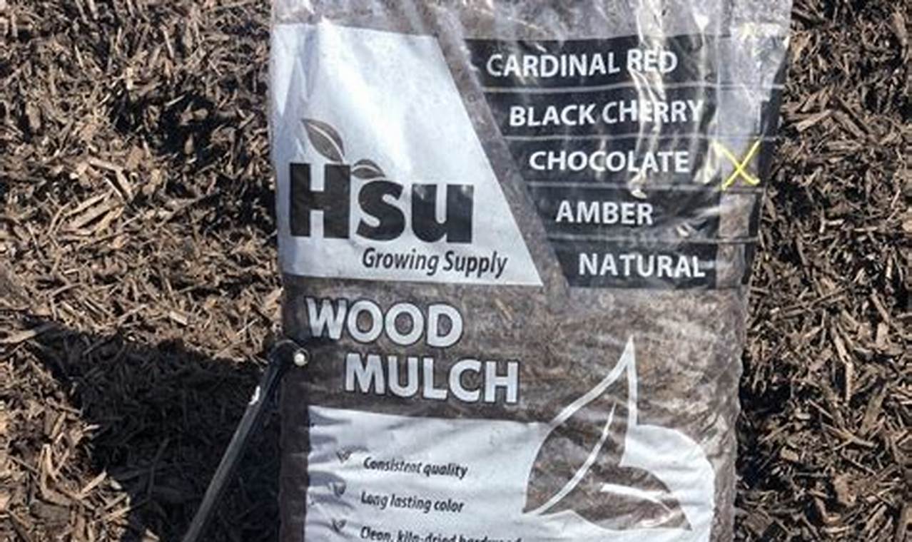 Dark Chocolate Mulch: A Rich Ground Cover